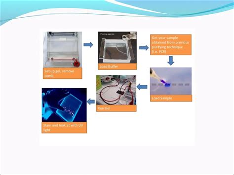 Various Biochemistry Lab Instruments Ppt