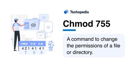 What Is Chmod 755 Definition Types Examples Techopedia