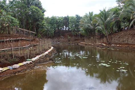 Project Lawa At Binhi Tapping Into Nearby Resources Dswd Field
