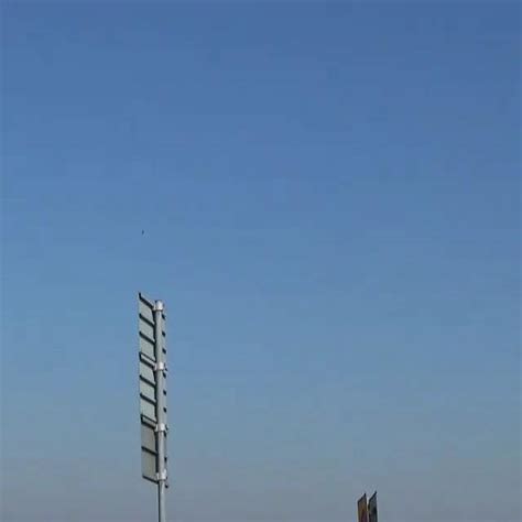 Birds Train Dataset Object Detection Dataset By Zarevichmikhail