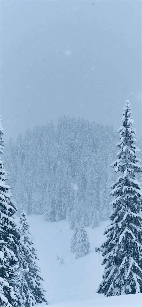 热门壁纸 氛围感满满的雪景壁纸背景 知乎
