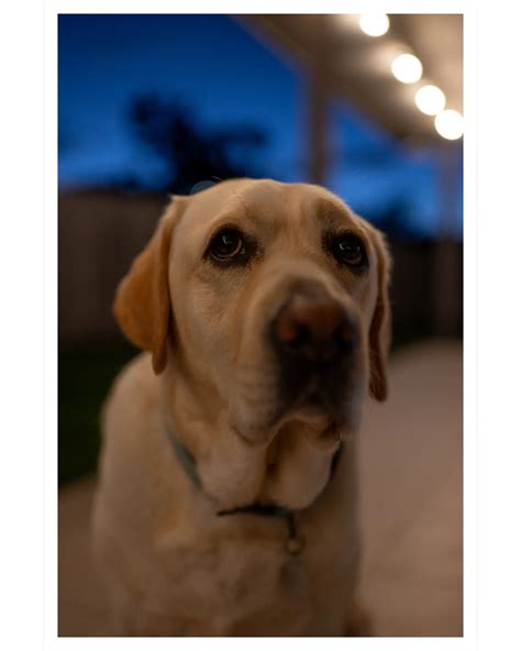 Mark Luyt Mark Luyt • Instagram Photos And Videos