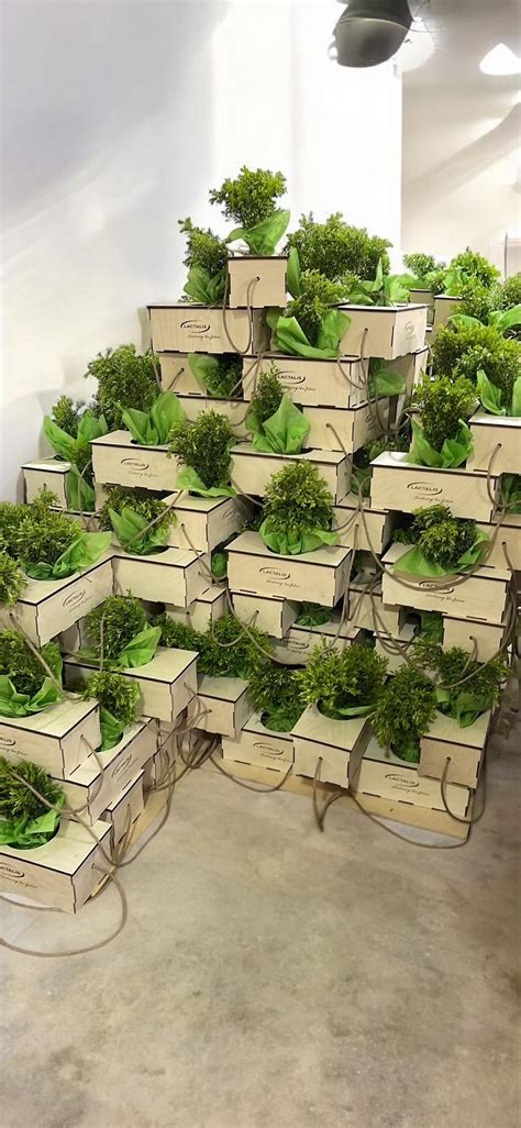 სახელოსნო ინდივიდი • Workshop Individi Tbilisi