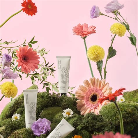 루트리 Rootree 루트리 공식 뷰티서포터즈 모집 루트리를 사랑하는 분들 모여주세요 천연 유기농화장품 루트리의 10기