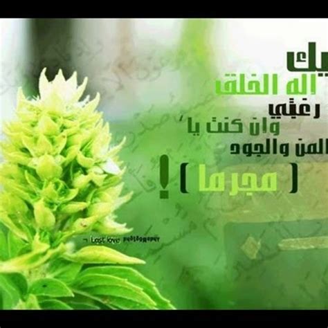 Stream Dr Ahmed Elnahass Listen To روائع Playlist Online For Free On Soundcloud