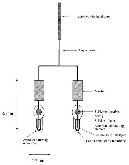 Schematic Drawing Of The Solid State Reference Electrode Prepared At Download Scientific