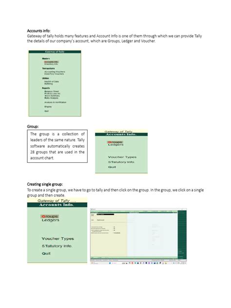 Tally Lab 2 Pdf