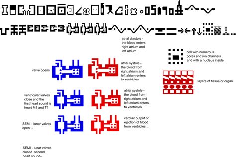 Anatomy Font KSHTRGYN FontSpace