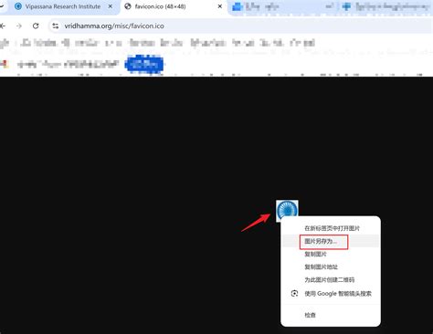 如何获取网站图标？亲测有效 知乎