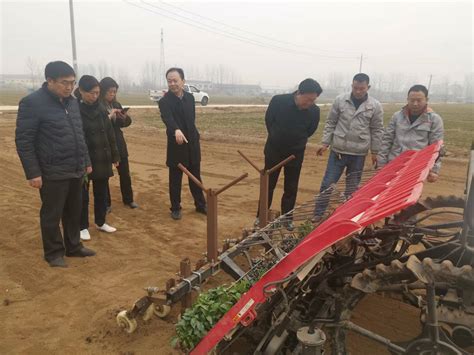 济宁市人民政府 各地快报 省市领导来金乡调研蒜椒轮作 机艺融合