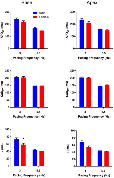 Baseline Sex Differences In Steady State Ventricular APs And Download Scientific Diagram