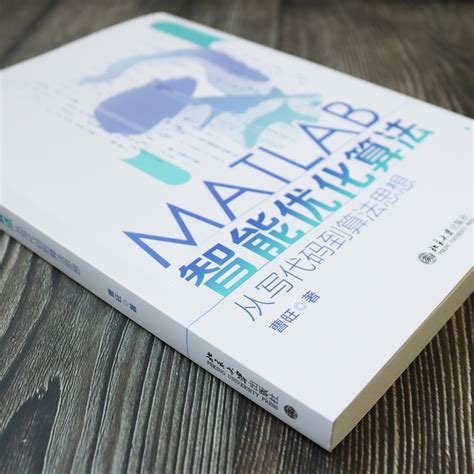 Matlab智能优化算法：从写代码到算法思想 软件图书 软服之家