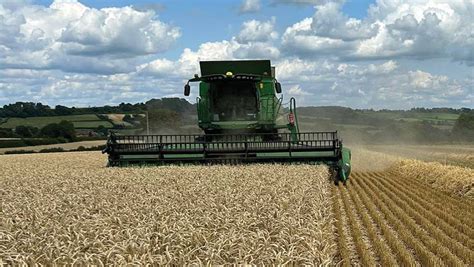 Early Winter Wheat Harvest Down By 2tha In Dorset Farmers Weekly