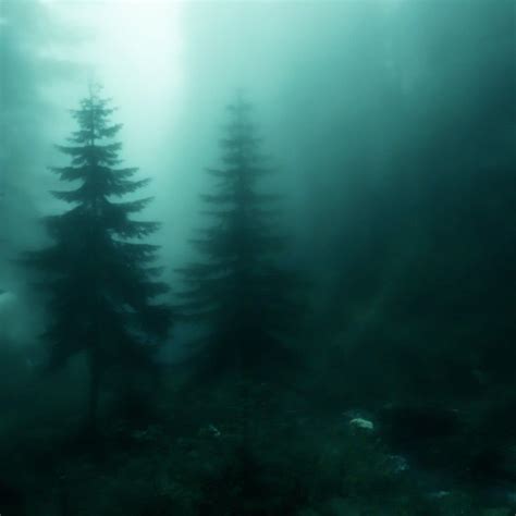 Fairycore Forest