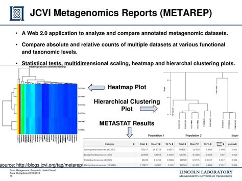 Ppt From Metagenomic Sample To Useful Visual Powerpoint Presentation Id 2069262