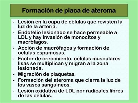 Ppt Bolilla 5 Metabolismo De Los Lípidos Digestión Y Absorción De
