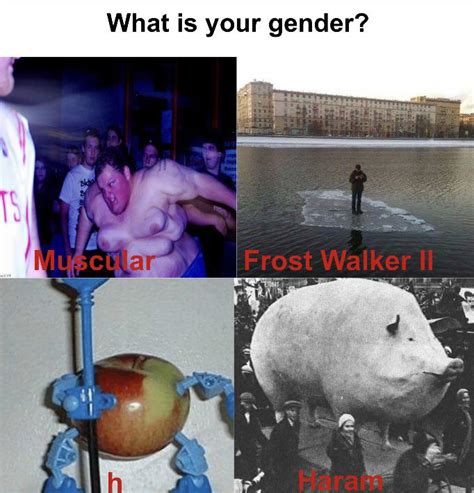 Haram Lookin Kinda Thicc Tho Rwhatisyourgender