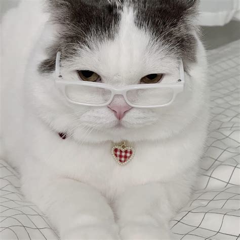 Miss World Greece Maria Psilou Photoshoot Time Missworld