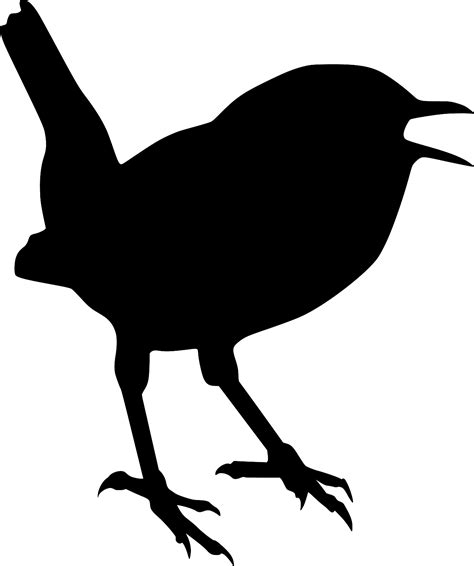 Troglodytes Troglodytes By Anthony Caravaggi Cc0 1 0 Phylopic
