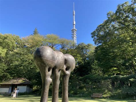 地元紹介仙台市野草園