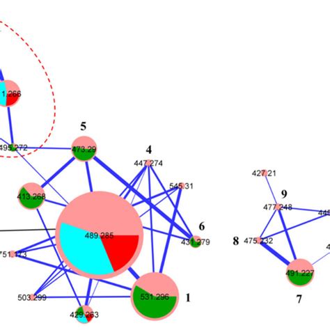 Gnps Molecular Networking Revealing Cluster For Left Download