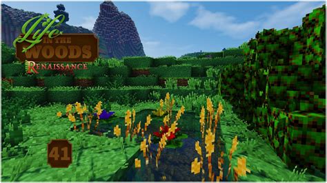 Life In The Woods Renaissance Modded Minecraft Picking Flowers 41