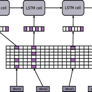 SET Sparse Embedding Layer Download Scientific Diagram