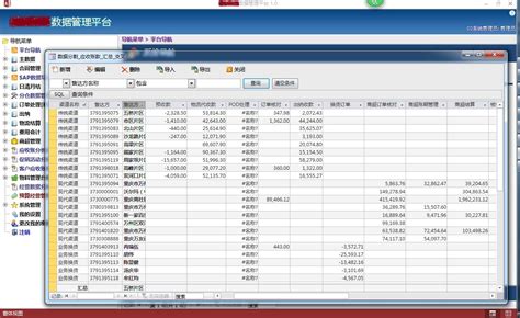 Access开发的软件欣赏 Access软件网