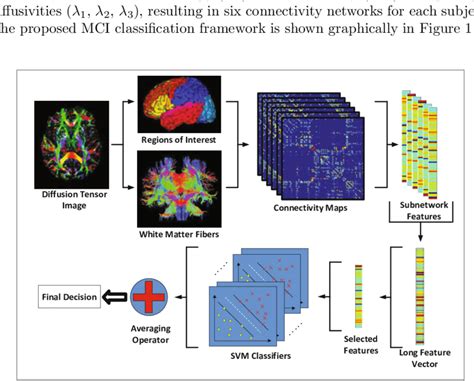 classification based on enriched description of wm connections
