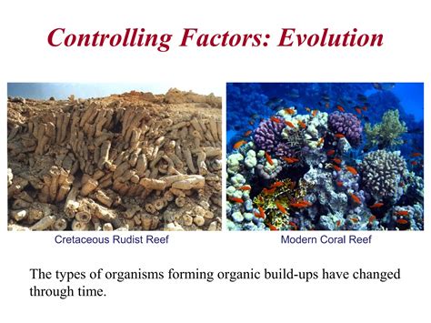 Carbonate Depositional Systems Ppt Geology Science