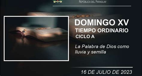 Domingo Xv Ordinario Ciclo A Diócesis De Ciudad Del Este