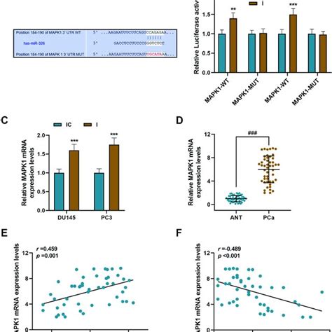 Gene Network Analysis Of RNA Seq Data From MDA MB 231 And OVCAR3 Cells