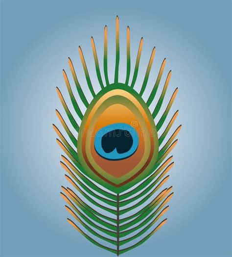 Peackock Tail Stock Illustrations 19 Peackock Tail Stock