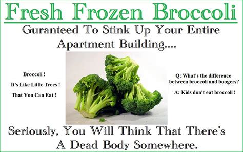 Dr Woofers Md Hide The Broccoli