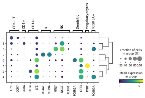 Hands On Clustering K PBMCs With Scanpy Clustering K PBMCs With Scanpy Single Cell