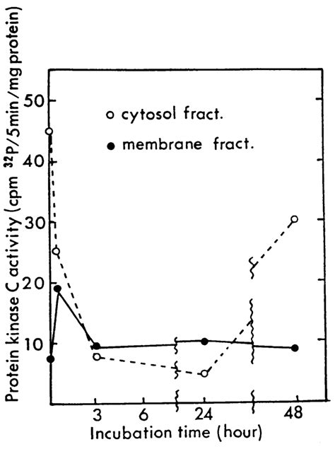 Time Course Of Pkc Activity In Cytosol Soluble And Membrane