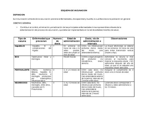 Esquema De Vacunaciondocx Word Esquema De Vacunacion Definicion La