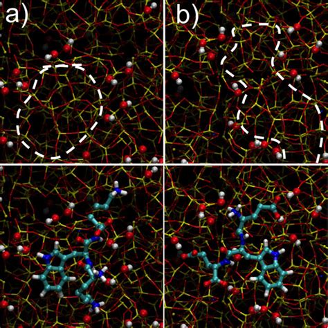 Pdf Dna Binding To The Silica Surface