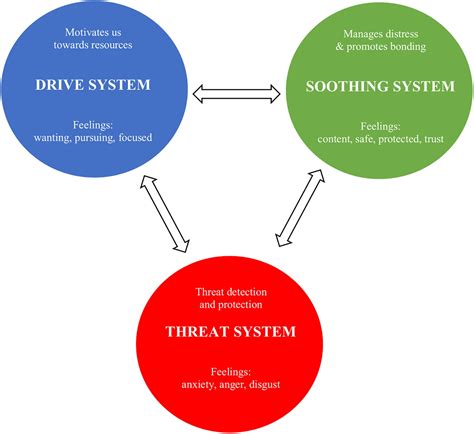 Frontiers Psilocybin Assisted Compassion Focused Therapy For Depression