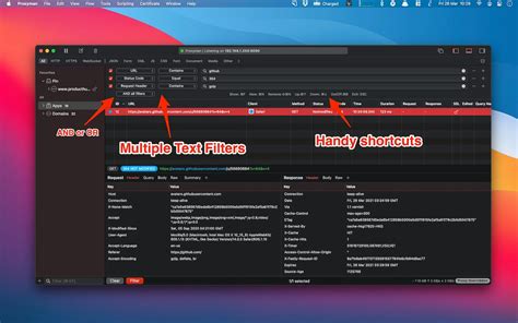 Proxyman En Setapp Depurador De Proxy