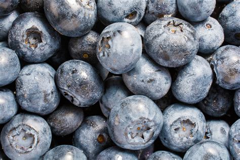 블루 베리 배경 잘 익고 육즙이 많은 신선한 블루베리 클로즈업 개체 그룹에 대한 스톡 사진 및 기타 이미지 개체 그룹 건강한 식생활 과일 Istock