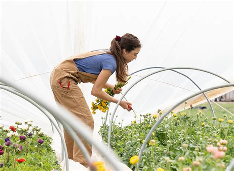 Agricultures urbaines au cœur des actualités agricoles