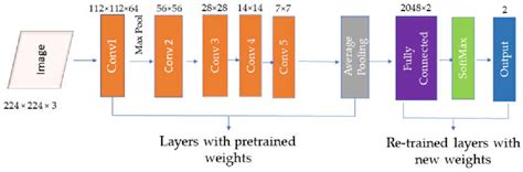Figure 3 From Human Gender Classification Using Transfer Learning Via Pareto Frontier Cnn