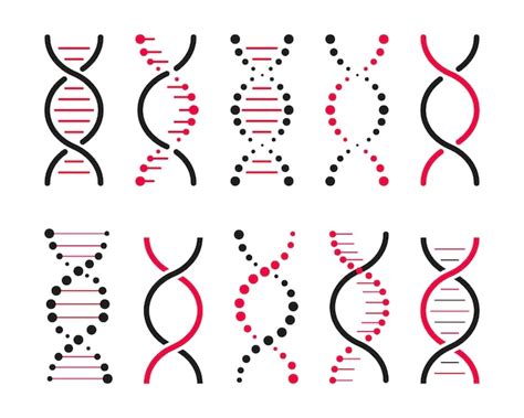 Premium Vector Set Of DNA Icons Life Gene Model Bio Code Genetics