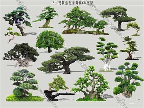 植物盆景摆件造型松榕树2d景观植物su模型110 艺术设计日志 于物设计