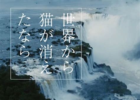 てんちゃんの日々いろいろブログ