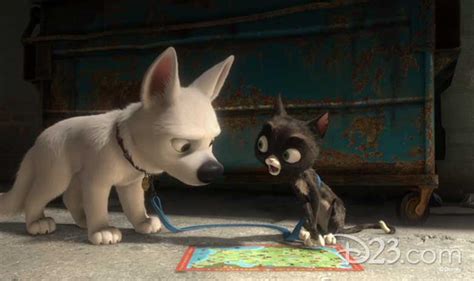 Los 9 Gatos De Disney Animados Favoritos