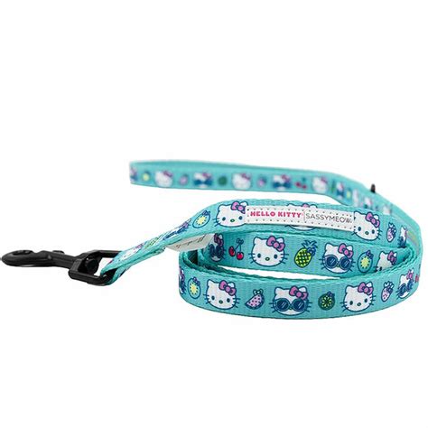 Sassy Meow Hello Kitty Cat Leash Blue 1 Each Delivery Or Pickup Near Me Instacart