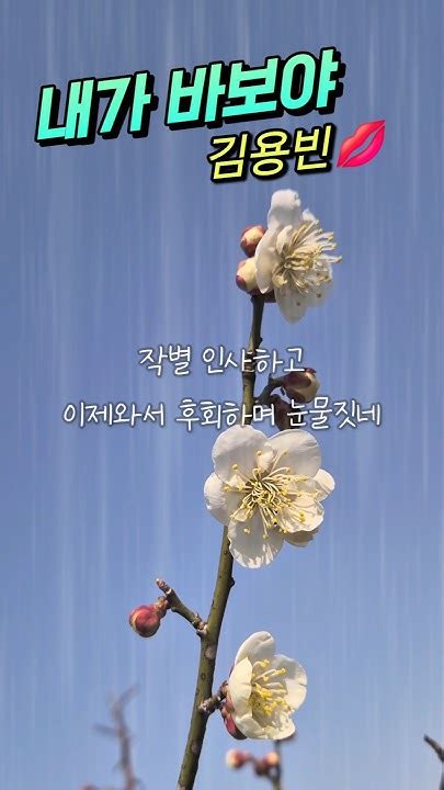 💕“이걸 이제야 알다니 진짜 바보다” Youtube