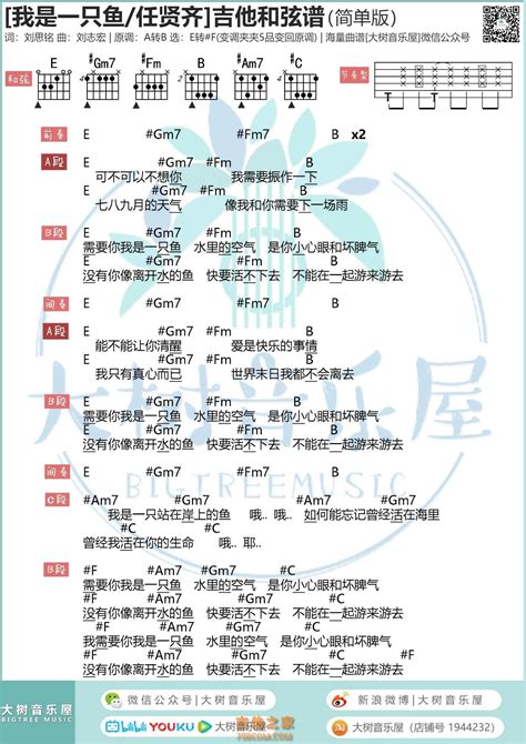 任贤齐落日飞车《我是一只鱼》吉他谱及教学视频【大树音乐屋】 热门吉他谱教学视频 吉他之家
